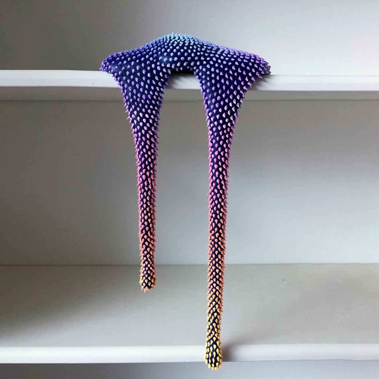 KEEPING TRIM – Dan Lam